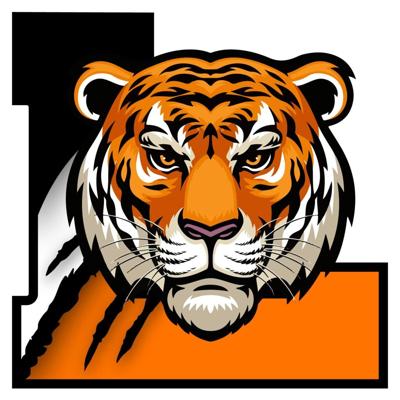 New Board of Education candidates triumph in Lyndonville | News ...