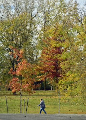 Colors abounding again as weekend approaches | News ...