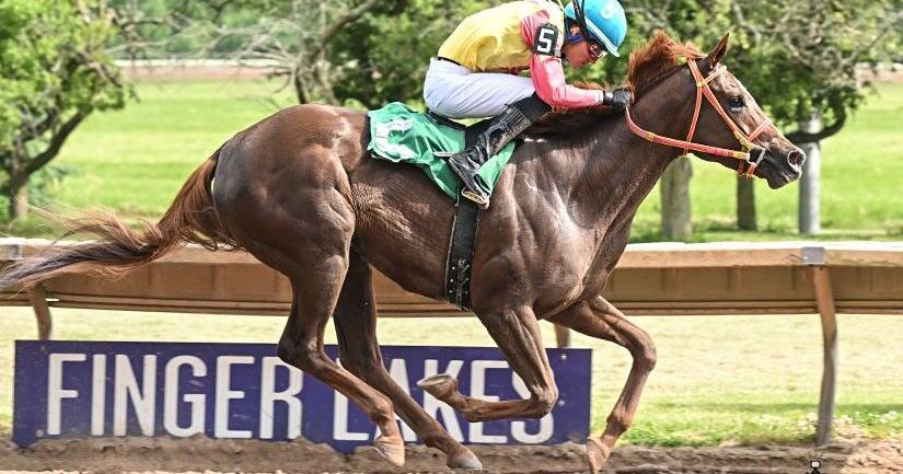 Arctic Queen Stakes highlights Labor Day card | Sports ...