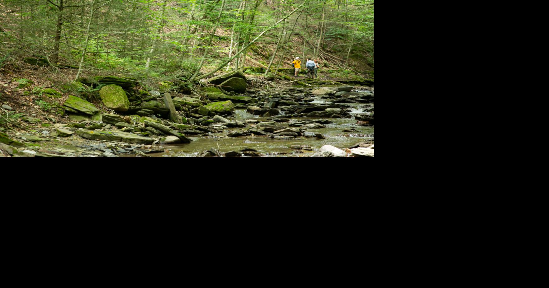 Grant to aid efforts to protect habitat, develop public access to ...