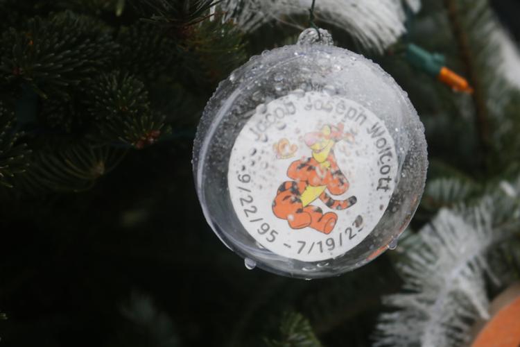 Christmas in the Park | News | thedailynewsonline.com