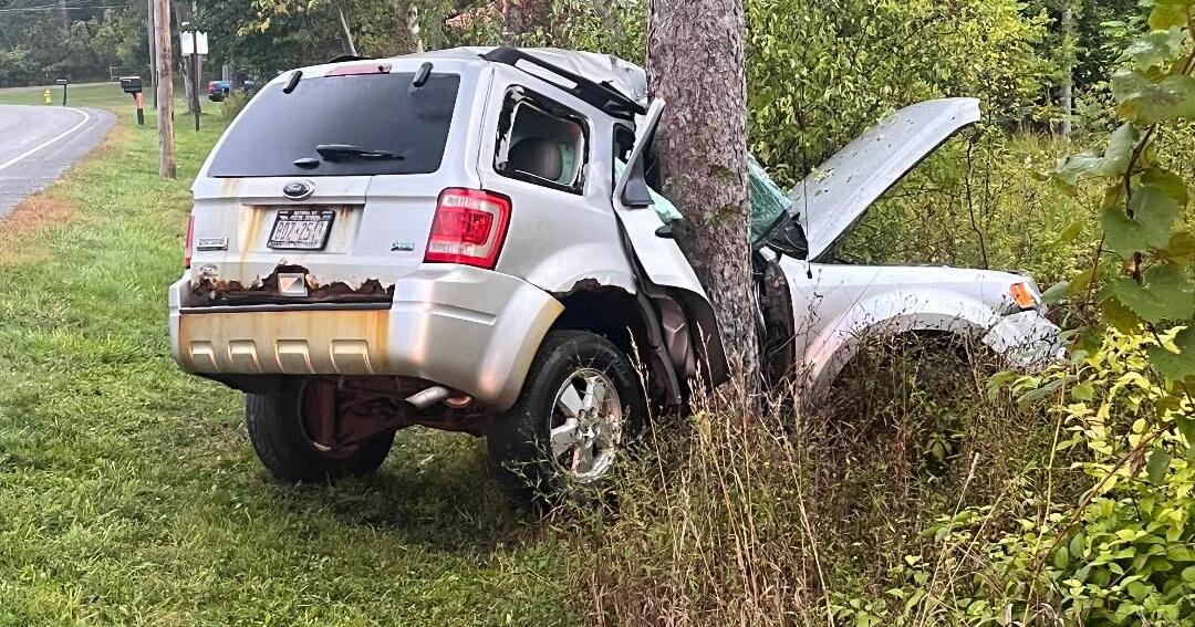Car strikes tree on Seven Springs Road | News | thedailynewsonline.com