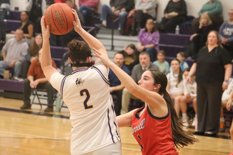 H.S. GIRLS BASKETBALL: Dyring, Evingham combine to help propel Hornell ...