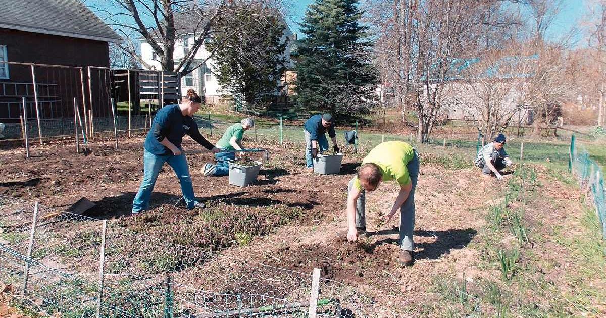 Community garden project helps low-income families grow own food ...