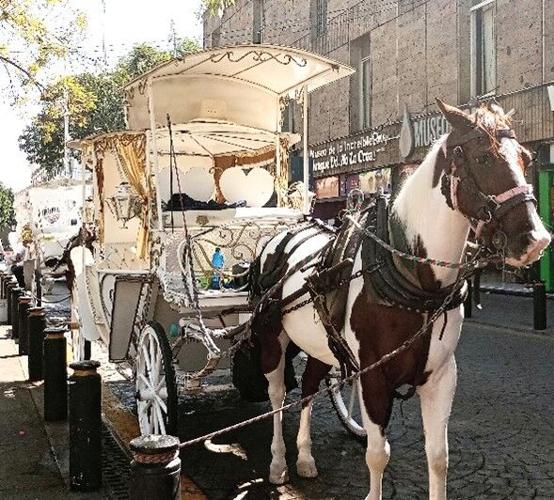 GCC's Roz Steiner Art Gallery makes a 'Color Connection': | Lifestyles ...