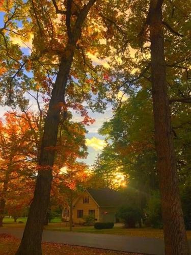 GCC's Roz Steiner Art Gallery makes a 'Color Connection': | Lifestyles ...