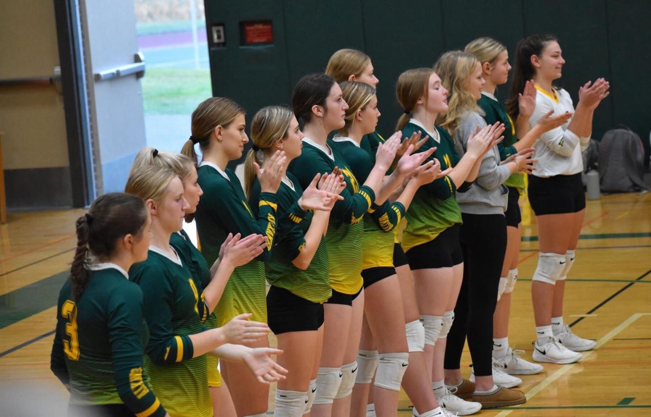 NYS GIRLS VOLLEYBALL: Attica, Alexander, Livonia fall short in Far West ...