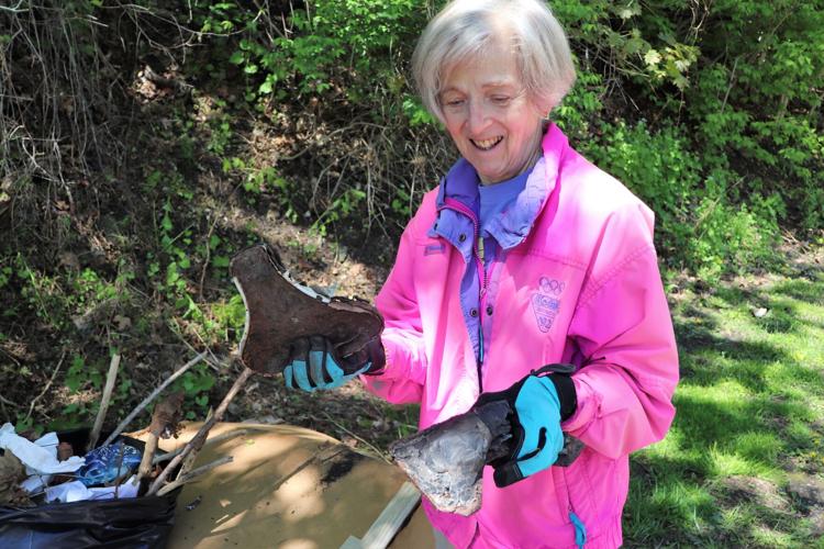 Volunteers sought to spruce up state parks | News | thedailynewsonline.com