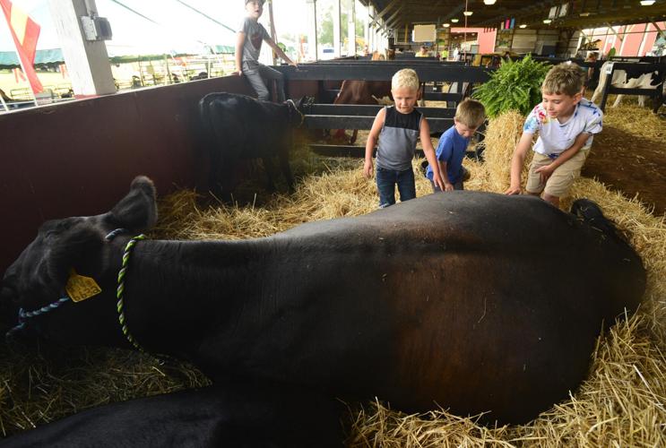 Back and popular: Orleans County Fair sees crowds with Monday opening ...