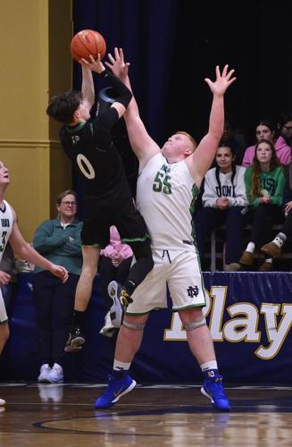 H.S. BOYS BASKETBALL ROUNDUP: Antinore, McCulley lead Notre Dame past ...