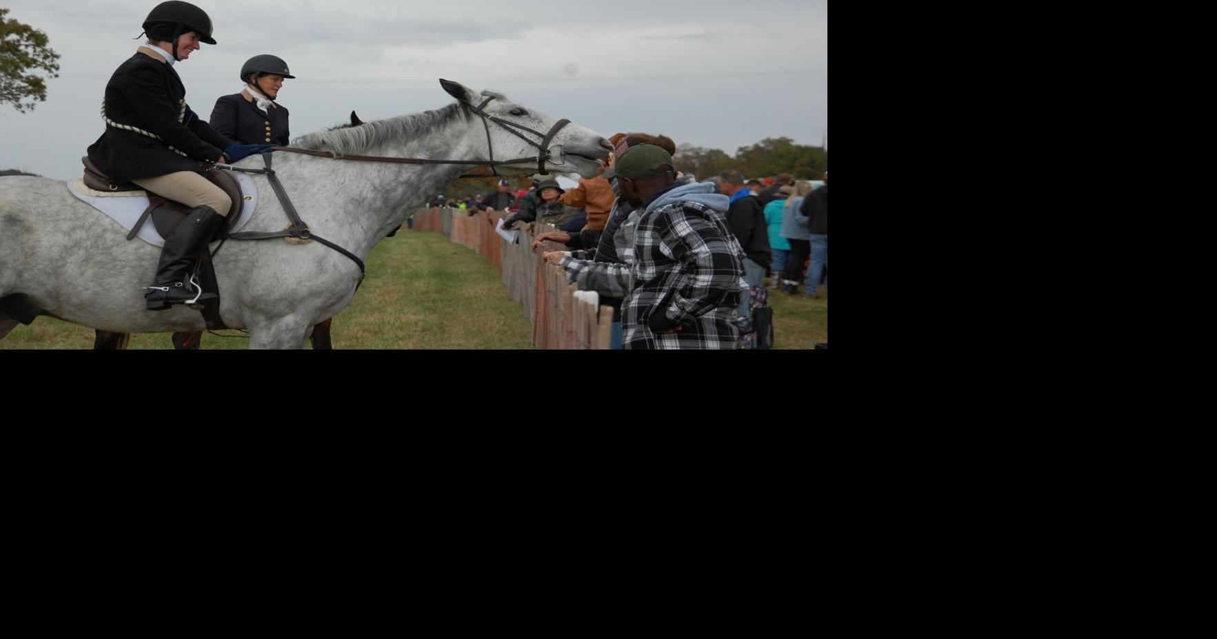 Tradition on four legs: Hunt Races draw crowds in Geneseo | News ...