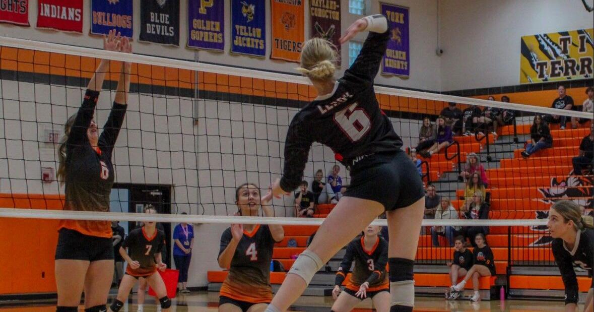 H.S. GIRLS VOLLEYBALL: Kanaley, Williams carry Le Roy past Warsaw ...