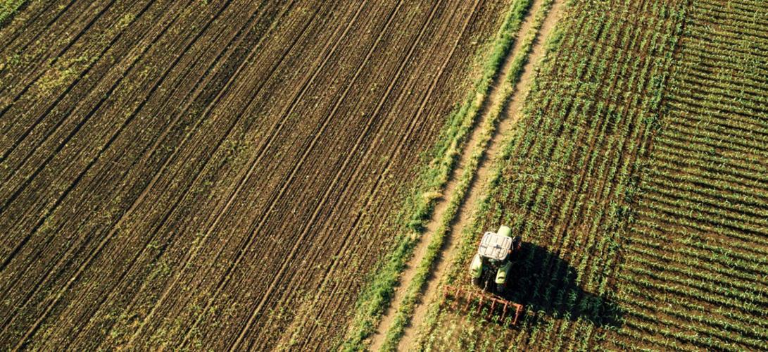 Family effort helps Alleghany Farm Services thrive | Top Story ...