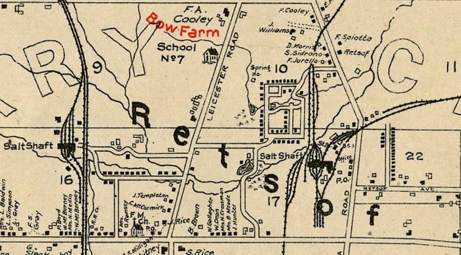 Viva Italia: Rediscovering the Retsof pepper | Lifestyles ...