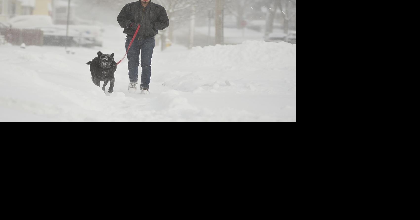 UPDATE: Snow accumulations piling up in Genesee, Livingston, Wyoming ...