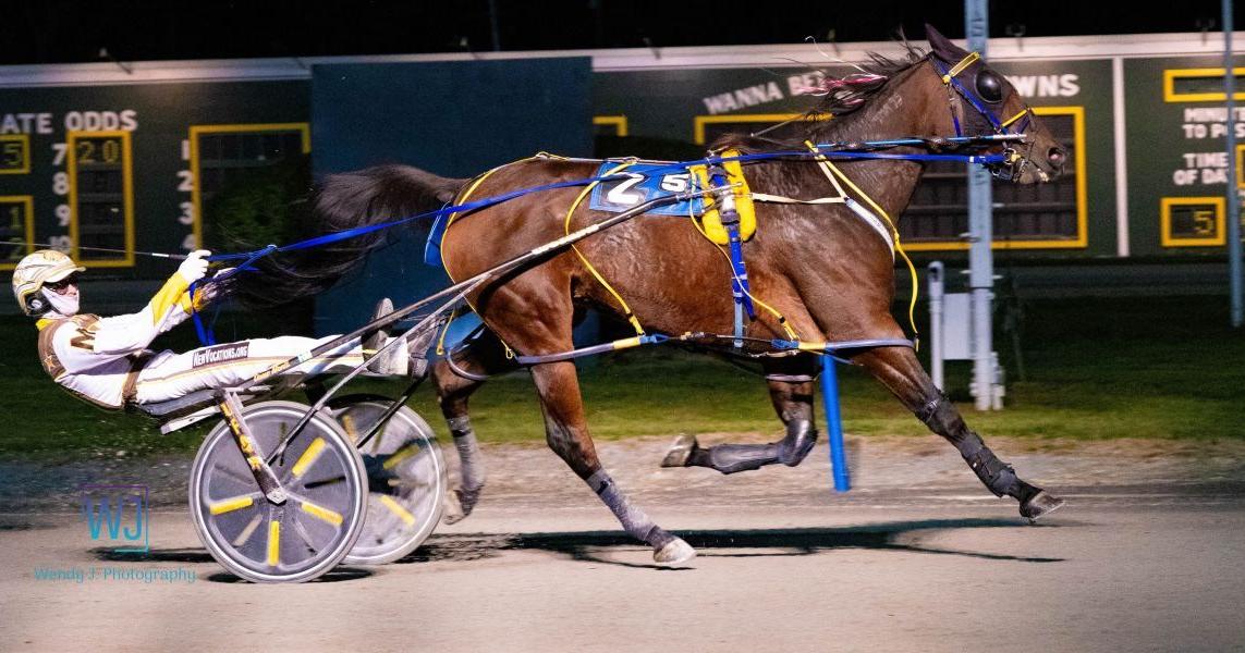 Mateo wins the Breast Cancer Awareness Pace at Batavia Downs | Sports ...