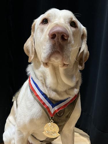 Perry Police Department’s Sunny is Top Dog | Top Story ...