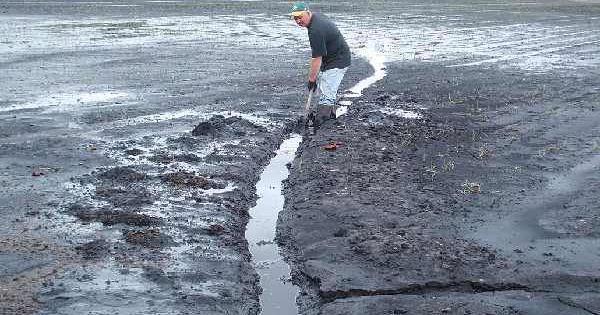 Wet Elba muck | | thedailynewsonline.com