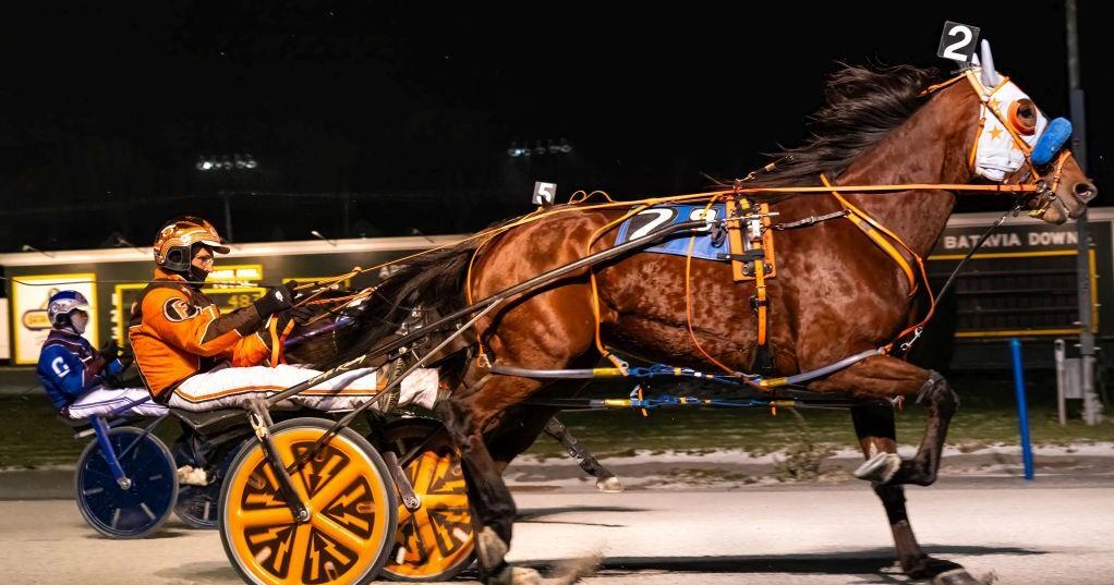 HARNESS RACING: Five more wins for Jim McNeight Jr. at Batavia Downs ...