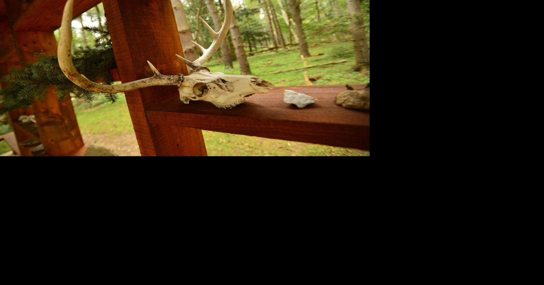 Autism Nature Trail closes due to storm damage | News ...