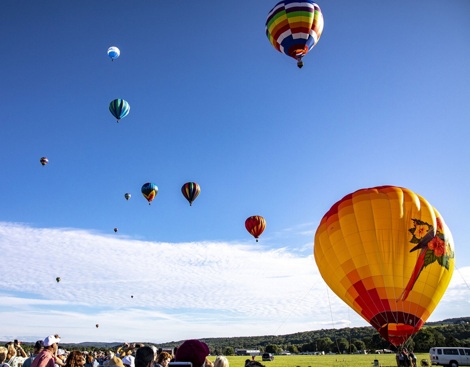Balloon festival set to soar above Dansville | | thedailynewsonline.com