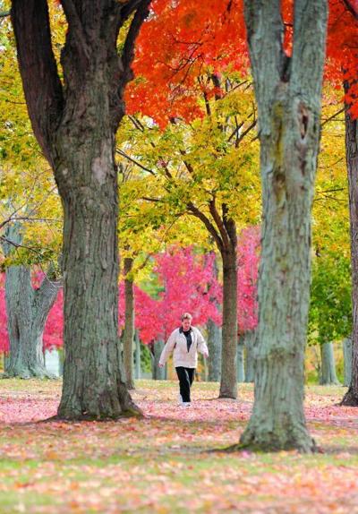 PHOTO: Fall foliage in Centennial Park | News | thedailynewsonline.com