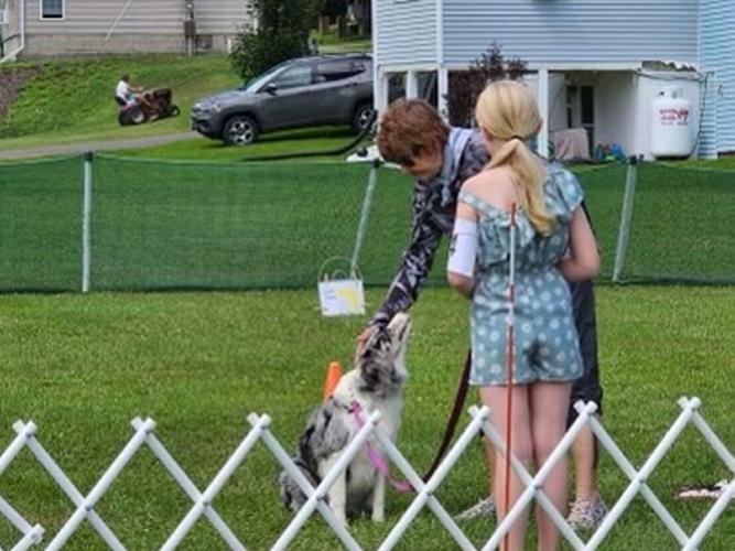 Dog contests garner 4-H fun at Wyoming County Fair | Top Story ...
