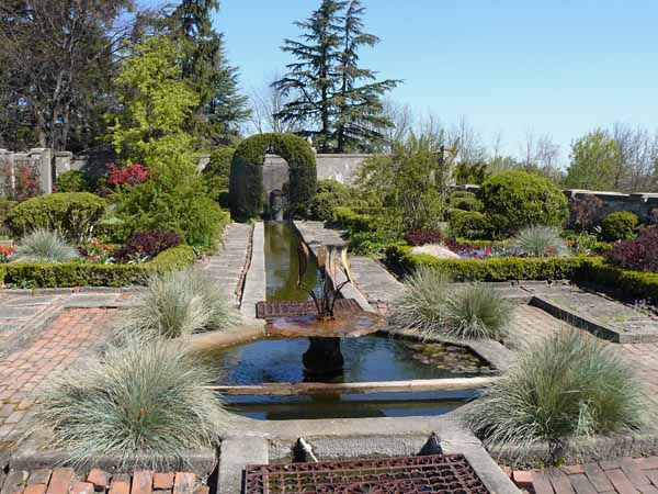 A legacy of color: Linwood Gardens celebrates tree peony collection ...