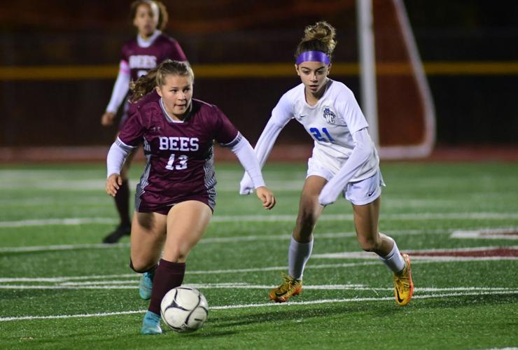 GIRLS SOCCER: Byron-Bergen repeats sectional title with 2-0 win over GR foe Wheatland-Chili ...