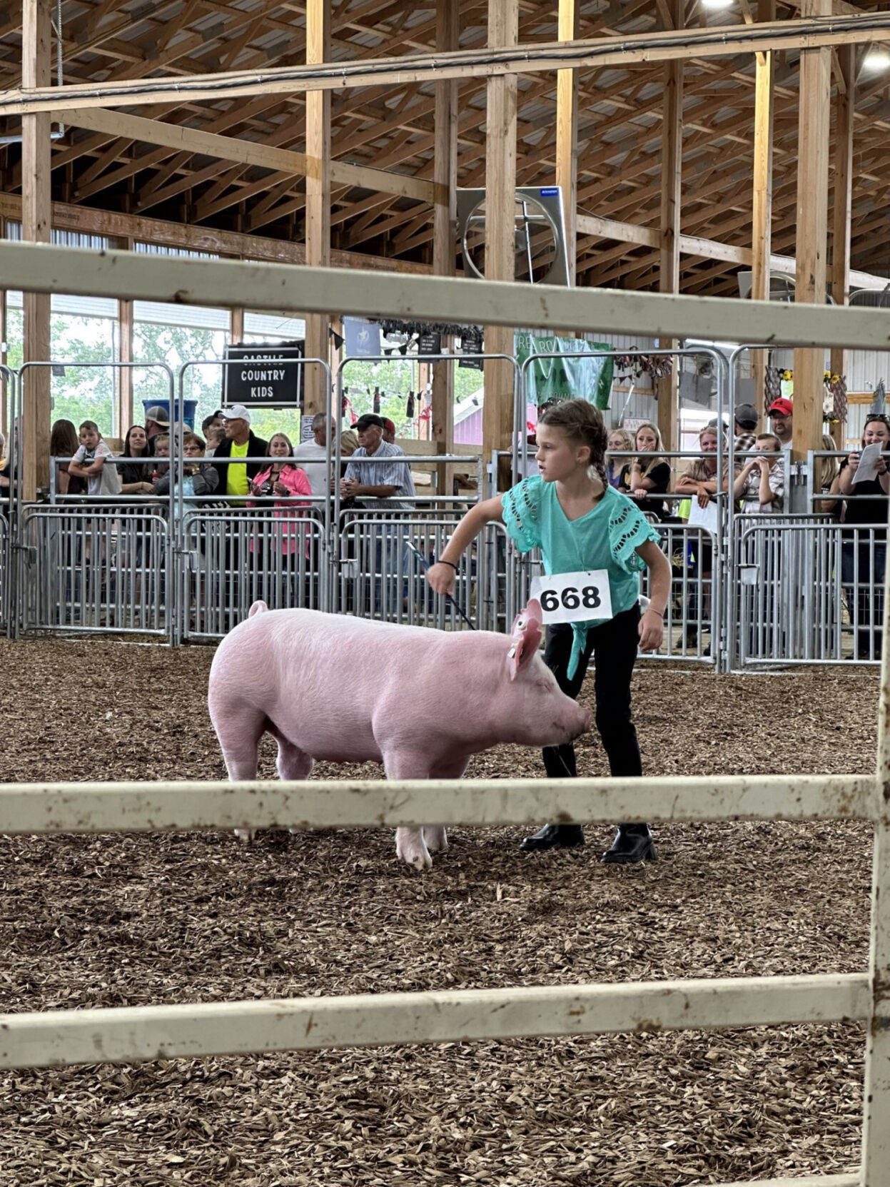 ‘Freckles’ earns a cool $4,000 at 4-H Meat Animal Auction | Top Story ...