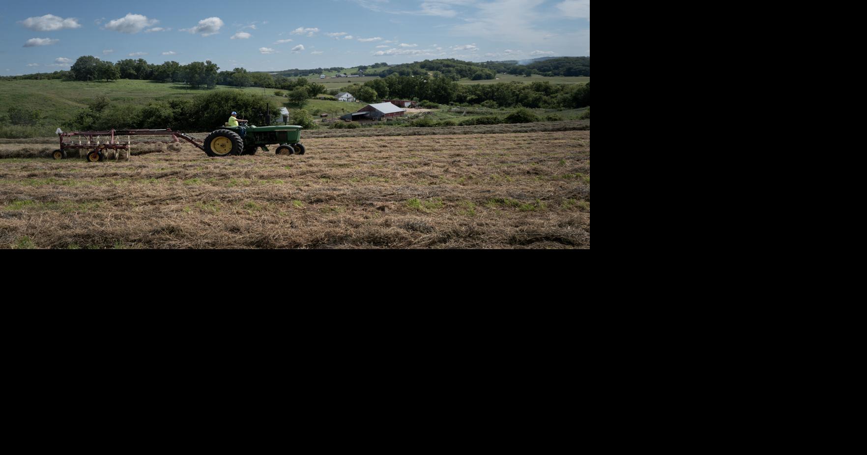 Editorial — Star Tribune: So much rides on the farm bill | Opinion ...
