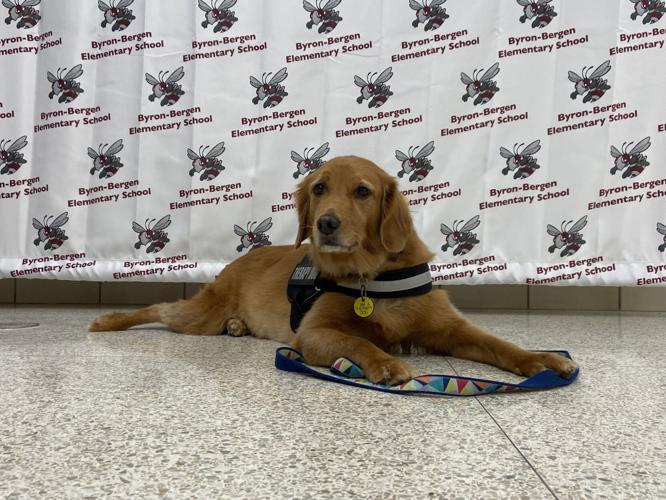 Byron-Bergen recognized for therapy dog program | News ...