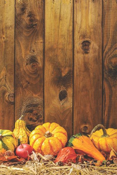 Master Gardener: It's the year of the squash | Lifestyles ...