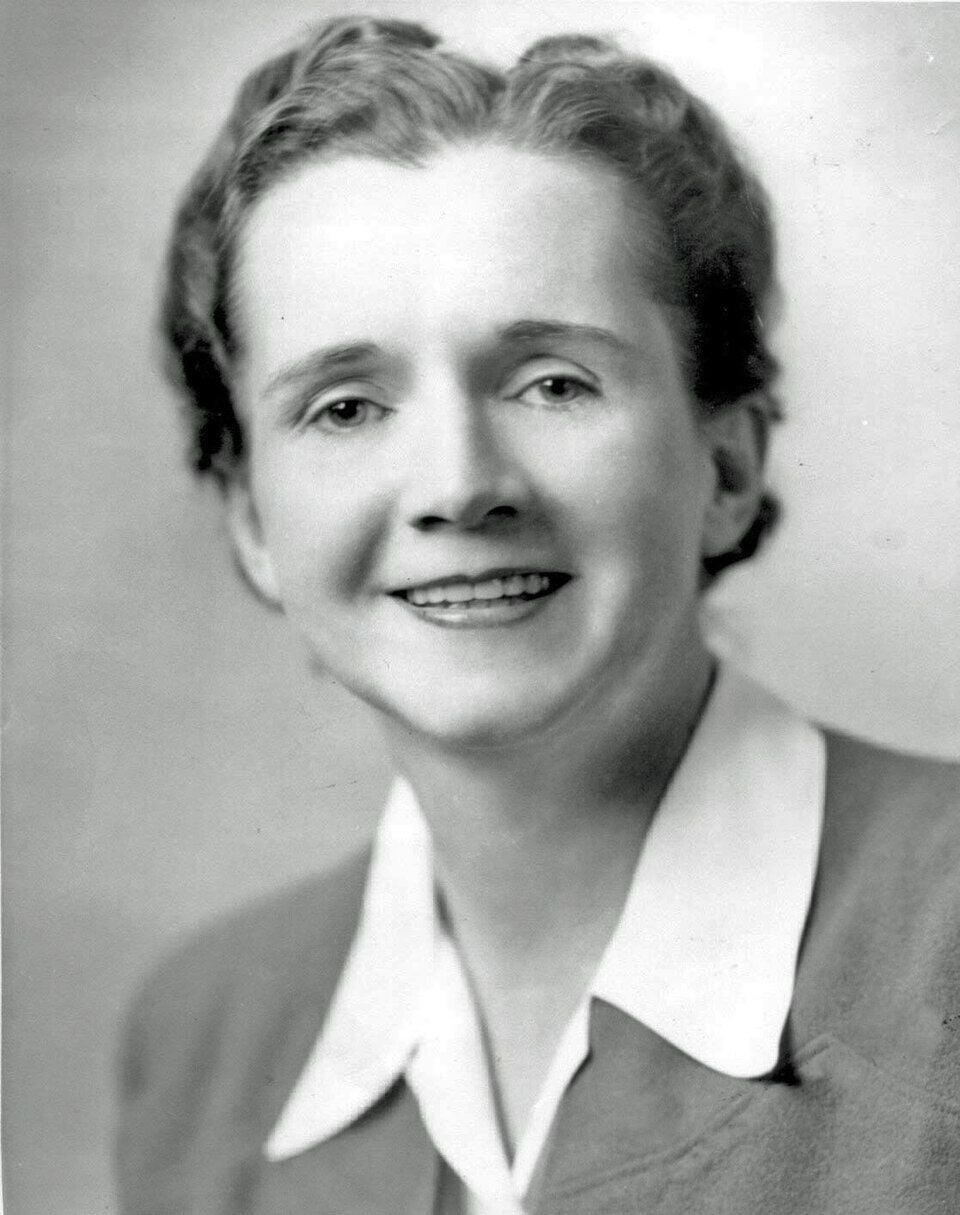 Founders & Guardians: Rachel Carson, noted environmentalist ...