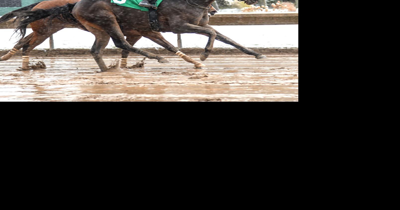 Popular winners of 2-year-old stakes | Horse Racing ...