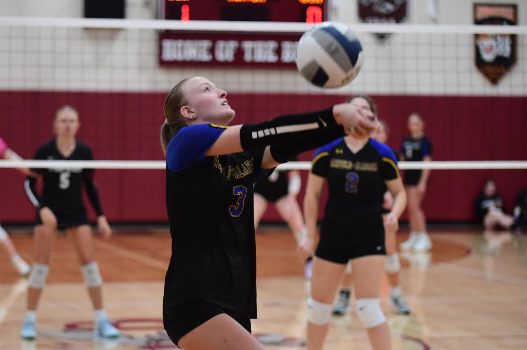 H.S. GIRLS VOLLEYBALL: Byron-Bergen stays undefeated after close win ...