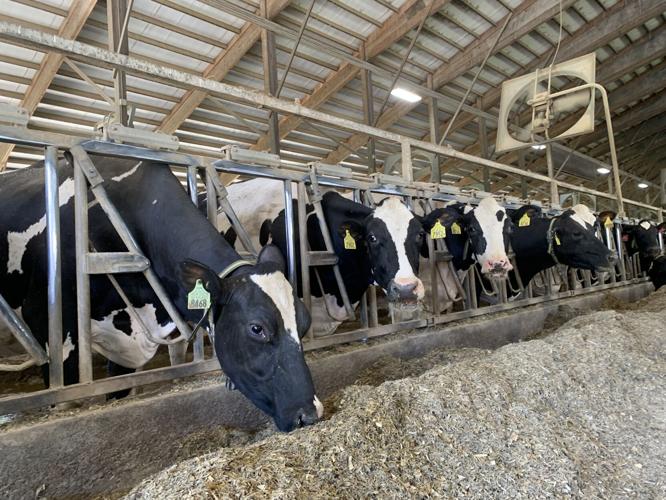 Getting to know you: Upstate Niagara Cooperative hosts Farm Fest 2024 ...