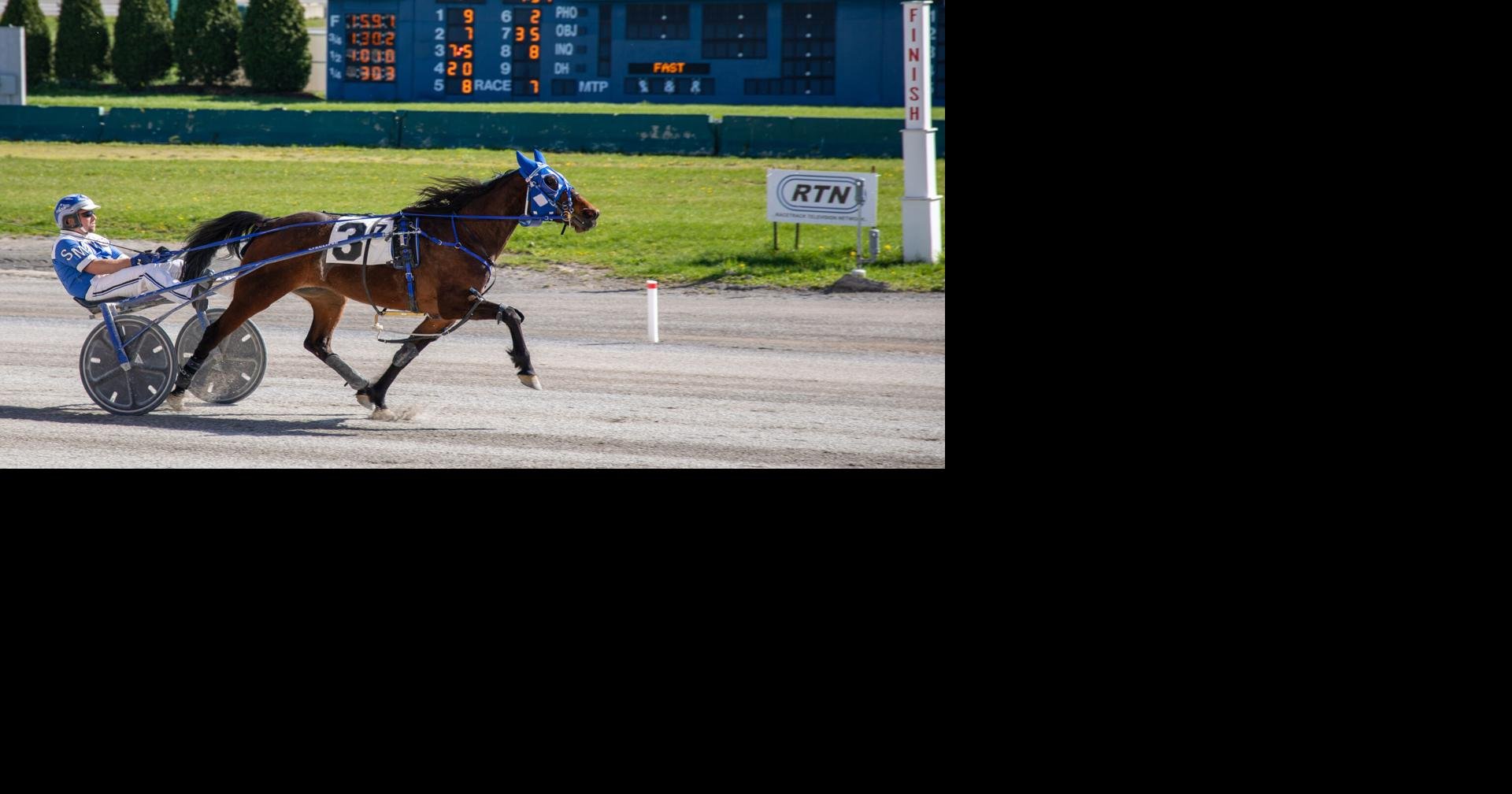 Gracious Triumph a 'Gracious' winner at Buffalo | Sports ...