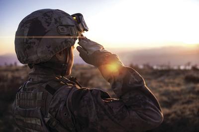 8 ways to honor veterans | Special Sections | thedailynewsonline.com