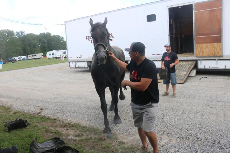 Genesee County Fair welcoming fans today | Top Story ...