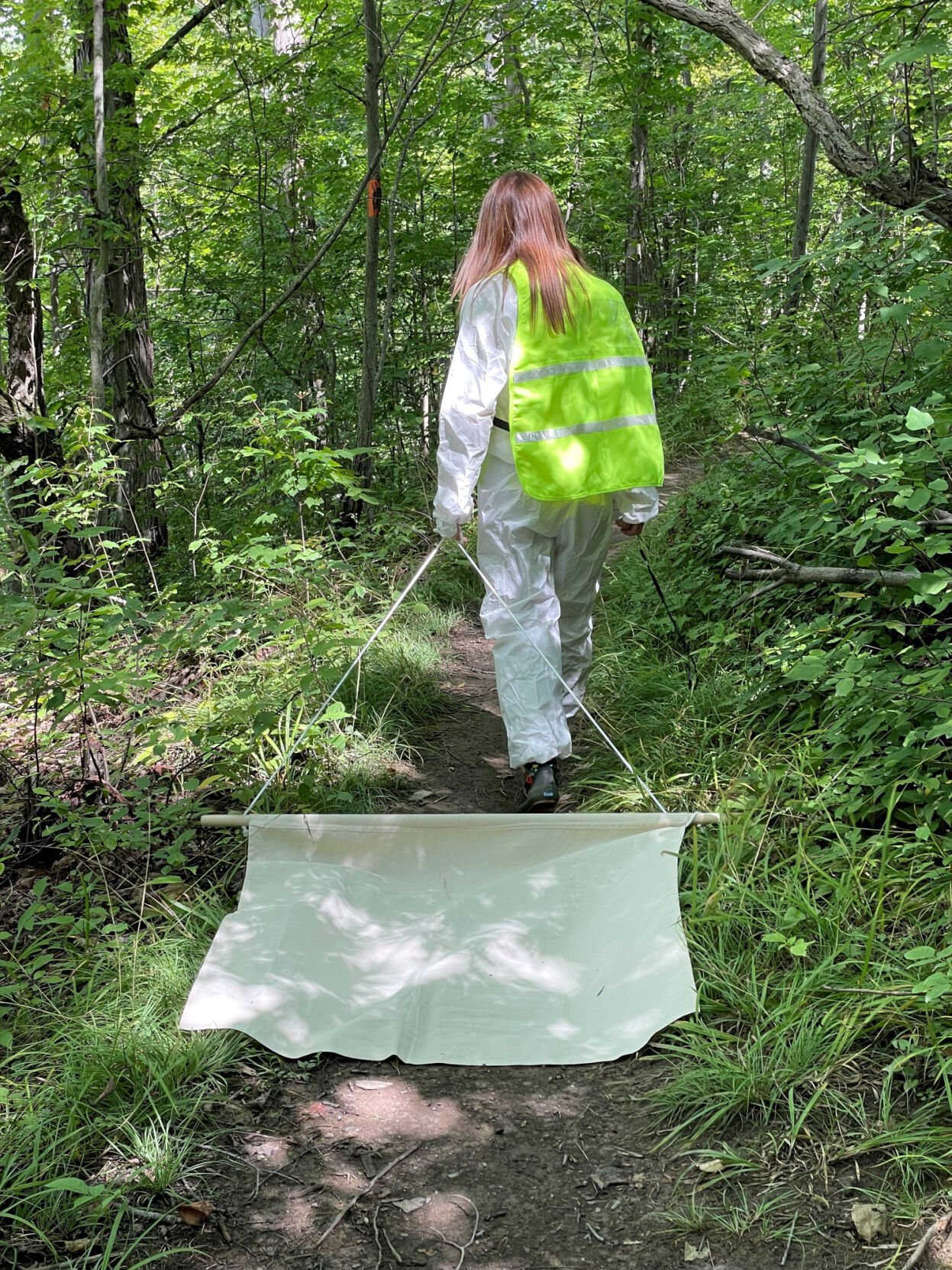 Here’s how to tell if your yard is home to ticks | Lifestyles ...