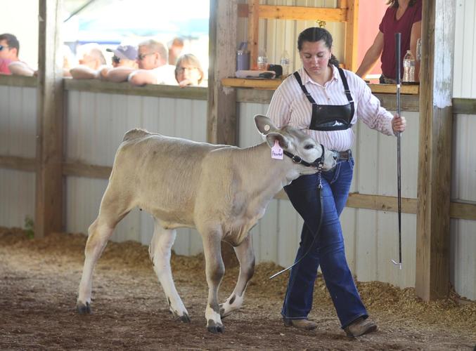 4-H'ers rack up the ribbons at Orleans County Fair | News ...