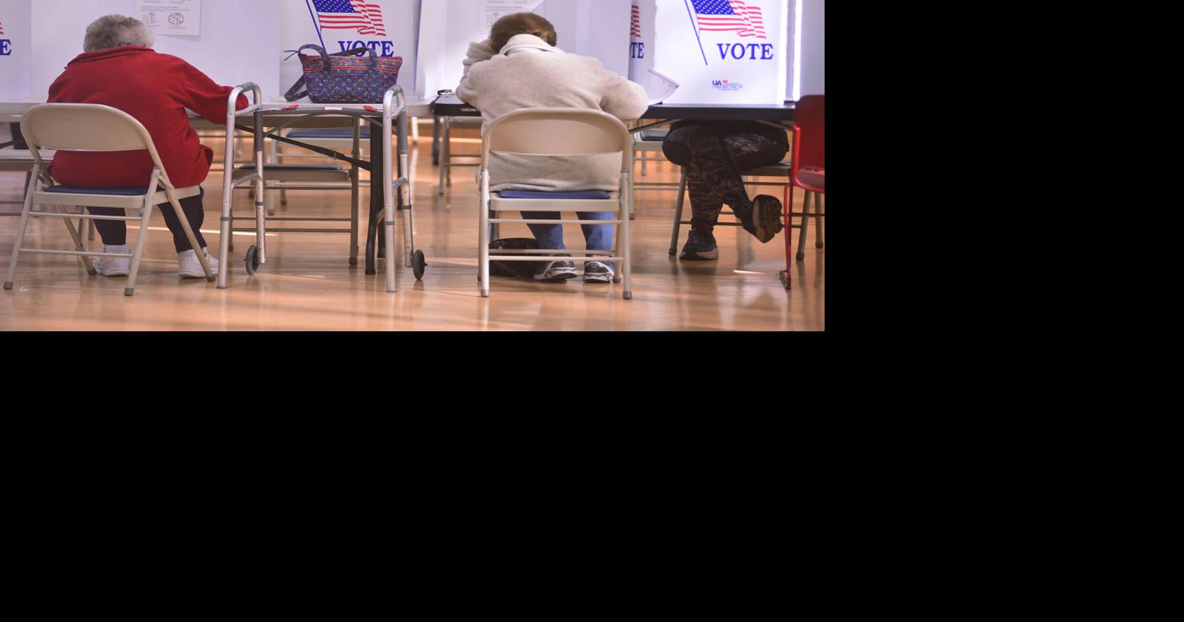 Early voting totals exceed 1,600 people | News | thedailynewsonline.com