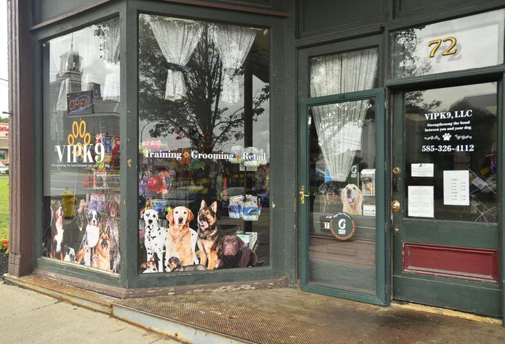 Le Roy calendar contest seeks ‘top dog’ | Top Story ...
