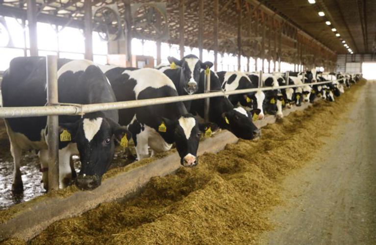 Gillibrand: Farm Bill helps New York ag | News | thedailynewsonline.com
