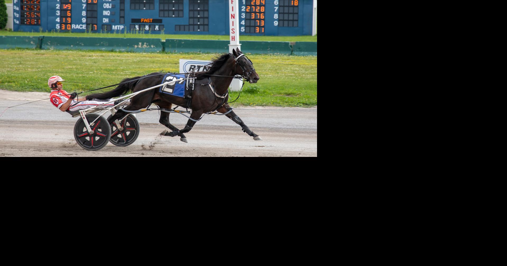 Boston Rocks breaks track record in NYSS win at Buffalo | Horse Racing ...