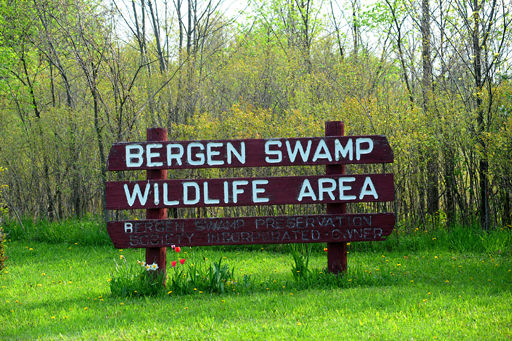 Society marking 75 years as caretaker of Bergen Swamp | Lifestyles ...