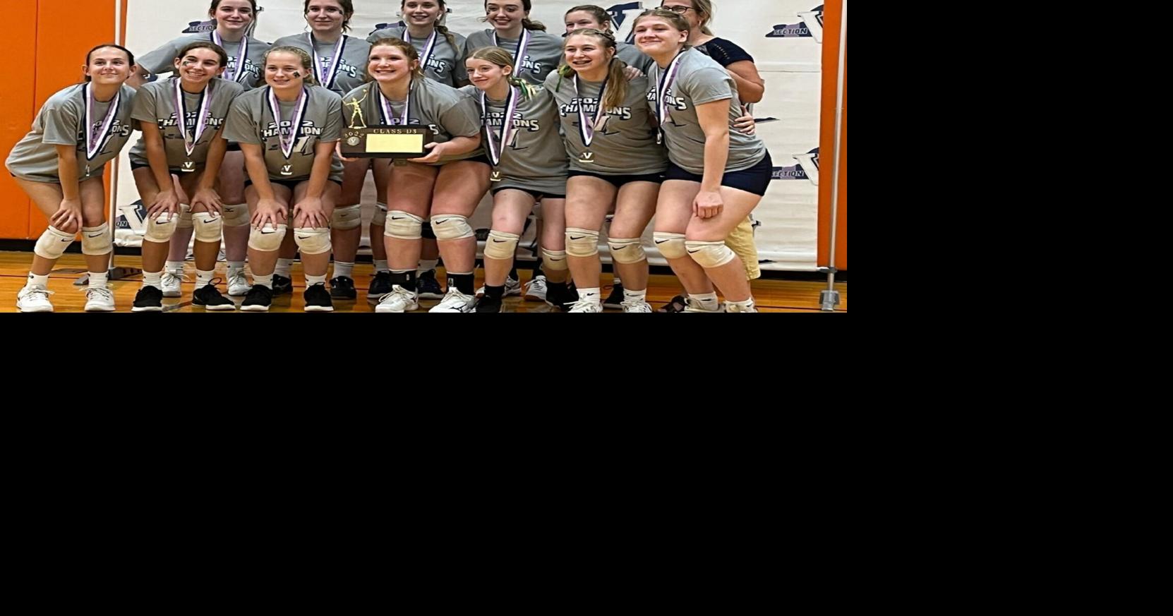 VOLLEYBALL: Pavilion wins third straight D2 title while Notre Dame ...