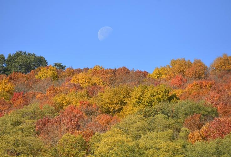 Vivid landscapes: Peak colors arrive in the GLOW region | News ...