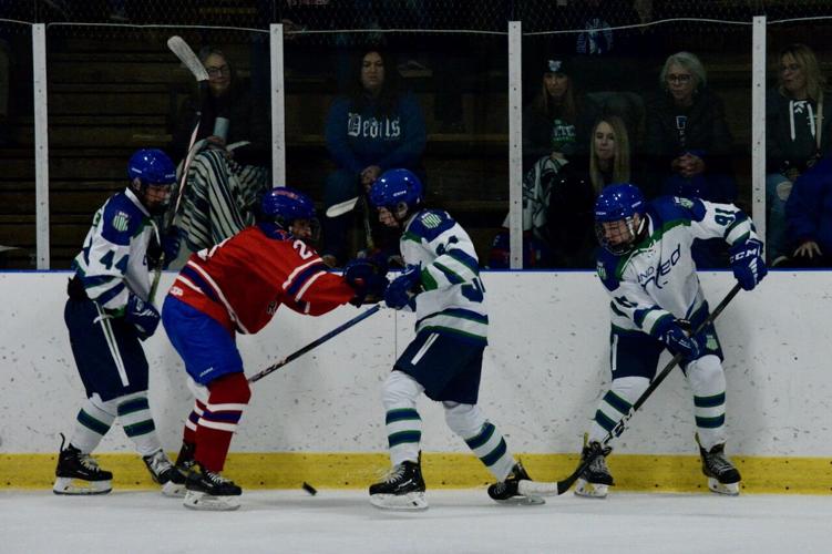 ICE HOCKEY: Tanner blanks Fairport as B/ND United improves to 3-1 ...